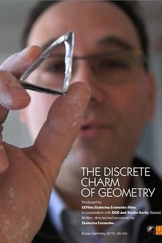 ‎The Discrete Charm of Geometry (2015) directed by Ekaterina Eremenko ...