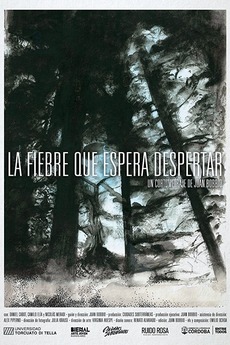 ‎La fiebre que espera despertar (2017) directed by Juan Bobbio • Film ...