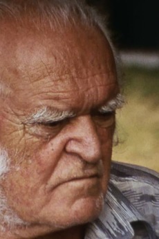 ‎Mario Merz (2002) directed by Tacita Dean • Film + cast • Letterboxd