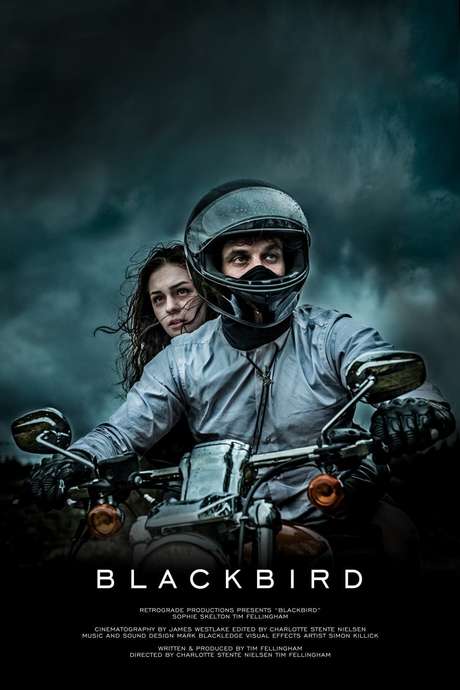 ‎Blackbird (2016) directed by Tim Fellingham, Charlotte Stente Nielsen ...