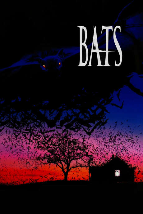 ‎Bats (1999) directed by Louis Morneau • Reviews, film + cast • Letterboxd