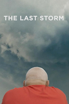 ‎The Last Storm (2018) directed by Liam Saint-Pierre • Reviews, film ...