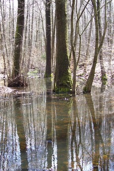 2018) directed by Kyle Faulkner • Reviews, film + cast • Letterboxd