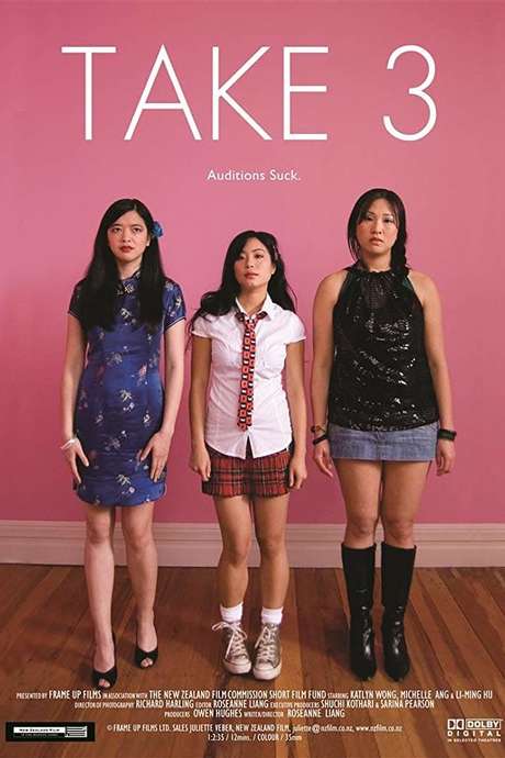 ‎Take 3 (2008) directed by Roseanne Liang • Reviews, film + cast ...