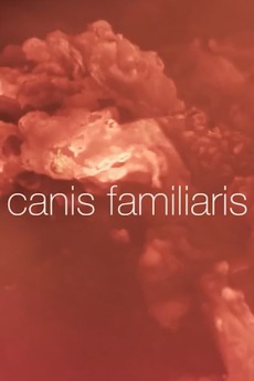 ‎Canis familiaris directed by Ulysse de Maximy, Javier Preciado • Film ...