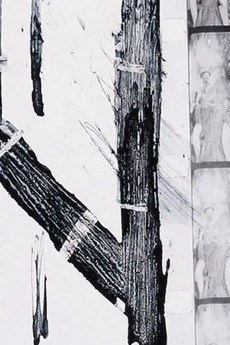 ‎Sun Zoom Spark (2019) directed by Gina Kamentsky • Reviews, film ...