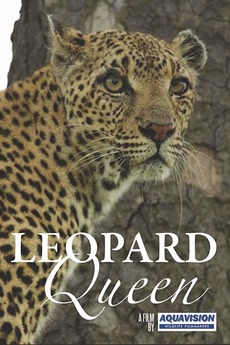 ‎Leopard Queen (2010) • Film + cast • Letterboxd
