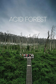 ‎Acid Forest (2018) directed by Rugilė Barzdžiukaitė • Reviews, film ...