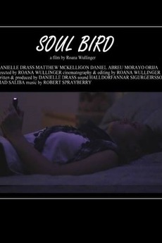‎Soul Bird (2014) directed by Roana Wullinger • Film + cast • Letterboxd