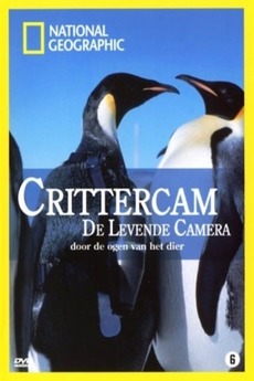 ‎Crittercam (2004) directed by Dara Padwo Audick • Reviews, film + cast ...