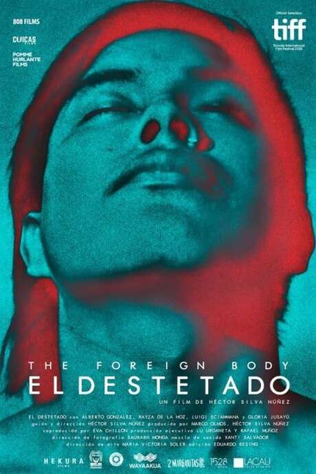 ‎The Foreign Body (2018) directed by Héctor Silva Núñez • Reviews, film + cast • Letterboxd