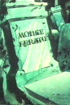 ‎Mouseferatu (1987) directed by Darko Cesar • Reviews, film + cast ...