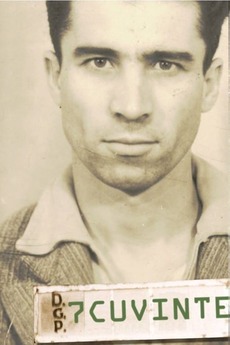 ‎Seven Words (2015) directed by Andrei Negoita • Film + cast • Letterboxd