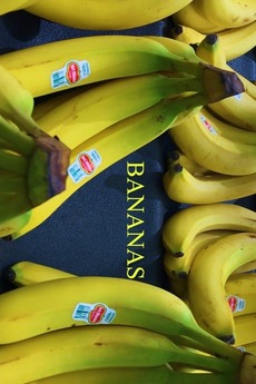 ‎Bananas directed by Riley B.F. Hamilton • Film + cast • Letterboxd