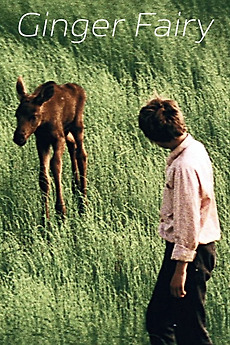 ‎Ginger Fairy (1987) directed by Volodymyr Kovalenko • Reviews, film ...