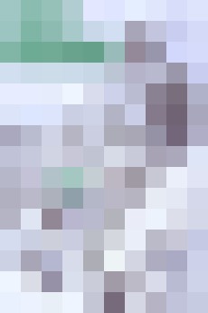 ‎Terri's Revenge! (1976) directed by Zebedy Colt • Reviews, film + cast ...