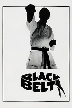 ‎The Black Belt (1973) directed by Cheung Sum • Reviews, film + cast ...