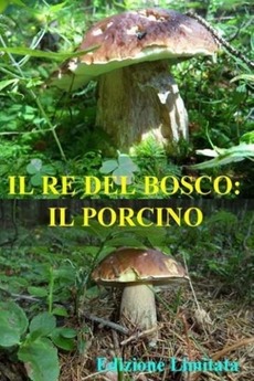 ‎Il re del bosco: il porcino • Film + cast • Letterboxd
