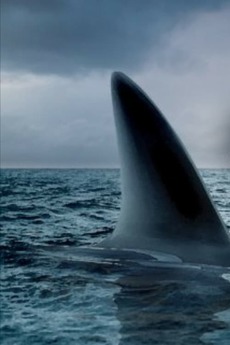‎Ocean of Fear (2007) directed by Richard Bedser • Reviews, film + cast ...