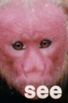 ‎Monkey See, Monkey Do: Verbs (1971) • Reviews, film + cast • Letterboxd