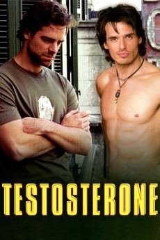 testosterone by david