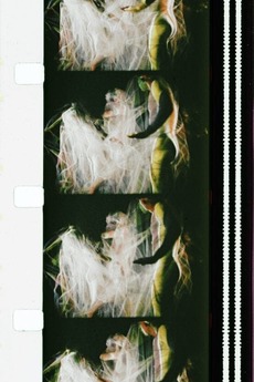 ‎Chrysalis (1973) directed by Ed Emshwiller • Reviews, film + cast ...