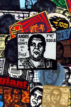 ‎Andre the Giant Has a Posse (1997) directed by Helen Stickler • Film ...