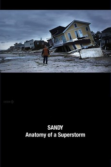 ‎Sandy: Anatomy of a Superstorm (2012) directed by Talya Tibbon, Jo ...