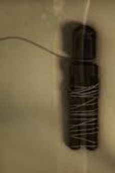 ‎Lien (2010) directed by Yancouba DIEME, Carole CYRILLE et al • Film ...