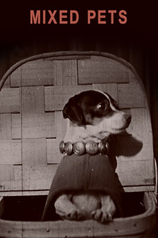 ‎Mixed Pets (1911) directed by Alice Guy-Blaché • Reviews, film + cast ...