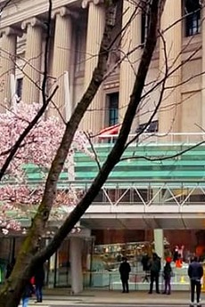 ‎Training in Practice of Freedom (2017) directed by MTL Collective ...