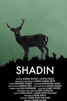 ‎Shadin (2018) directed by David Allain • Film + cast • Letterboxd