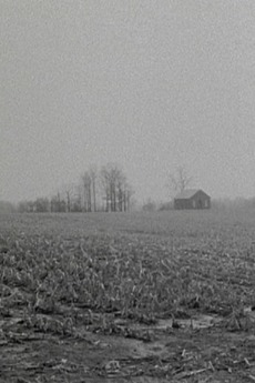 ‎One Year (1970) directed by Robert Huot • Film + cast • Letterboxd
