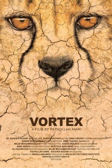 ‎Vortex (2018) directed by Fathollah Amiri • Film + cast • Letterboxd
