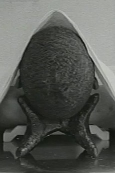 ‎Six Positions (1998) directed by Kevin Jerome Everson • Film + cast ...