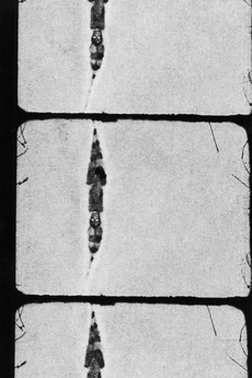 ‎F2 (1974) directed by Jean-Pascal Auberge • Film + cast • Letterboxd