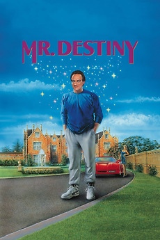 ‎Mr. Destiny (1990) directed by James Orr • Reviews, film + cast ...