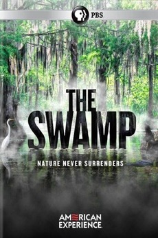 ‎The Swamp (2019) directed by Randall MacLowry • Reviews, film + cast ...