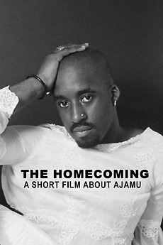 ‎The Homecoming: A Short Film About Ajamu (1996) directed by Topher ...