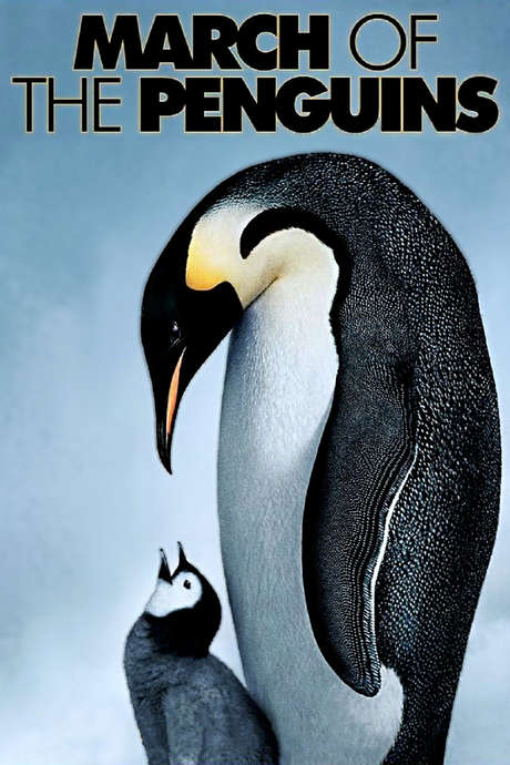 ‎March of the Penguins (2005) directed by Luc Jacquet • Reviews, film ...