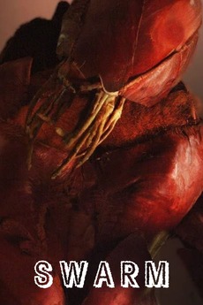‎Swarm (2017) directed by PigRat • Reviews, film + cast • Letterboxd