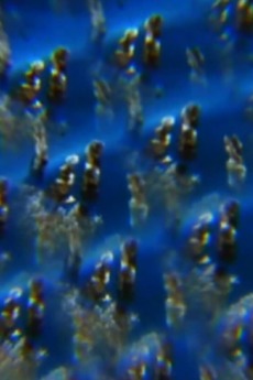 ‎Jelly (2012) directed by Olivia Wyatt • Film + cast • Letterboxd