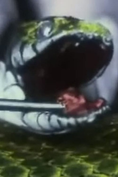 ‎Una serpiente inofensiva. La culebra (1914) • Reviews, film + cast ...