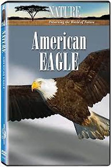 ‎PBS Nature - American Eagle • Film + cast • Letterboxd
