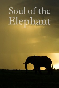 ‎Soul of the Elephant (2015) directed by Dereck Joubert, Beverly ...
