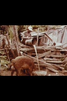 ‎Bottle Up and Go (1980) directed by Bill Ferris • Reviews, film + cast ...