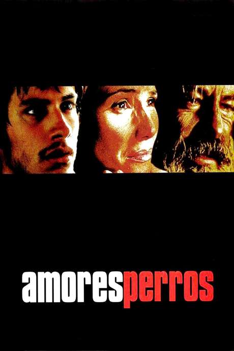 ‎Amores Perros (2000) directed by Alejandro González Iñárritu • Reviews, film + cast • Letterboxd