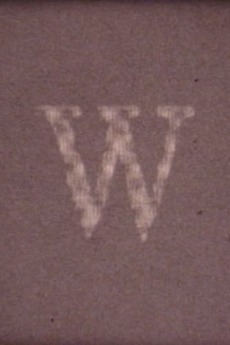 ‎W (1989) directed by Makoto Mukahira • Reviews, film + cast • Letterboxd