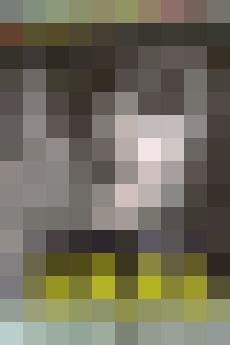 ‎AWOL (1973) directed by Anthony Spinelli • Reviews, film + cast ...