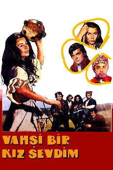 ‎Vahşi Bir Kız Sevdim (1972) directed by Nejat Saydam • Reviews, film ...